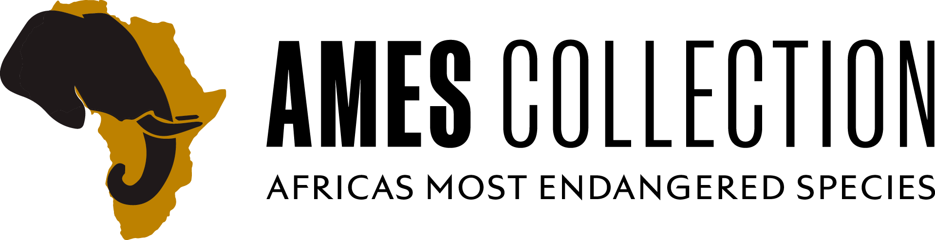 AMES Collection – Onlineshop by AMES Foundation. – AMES Collection Shop